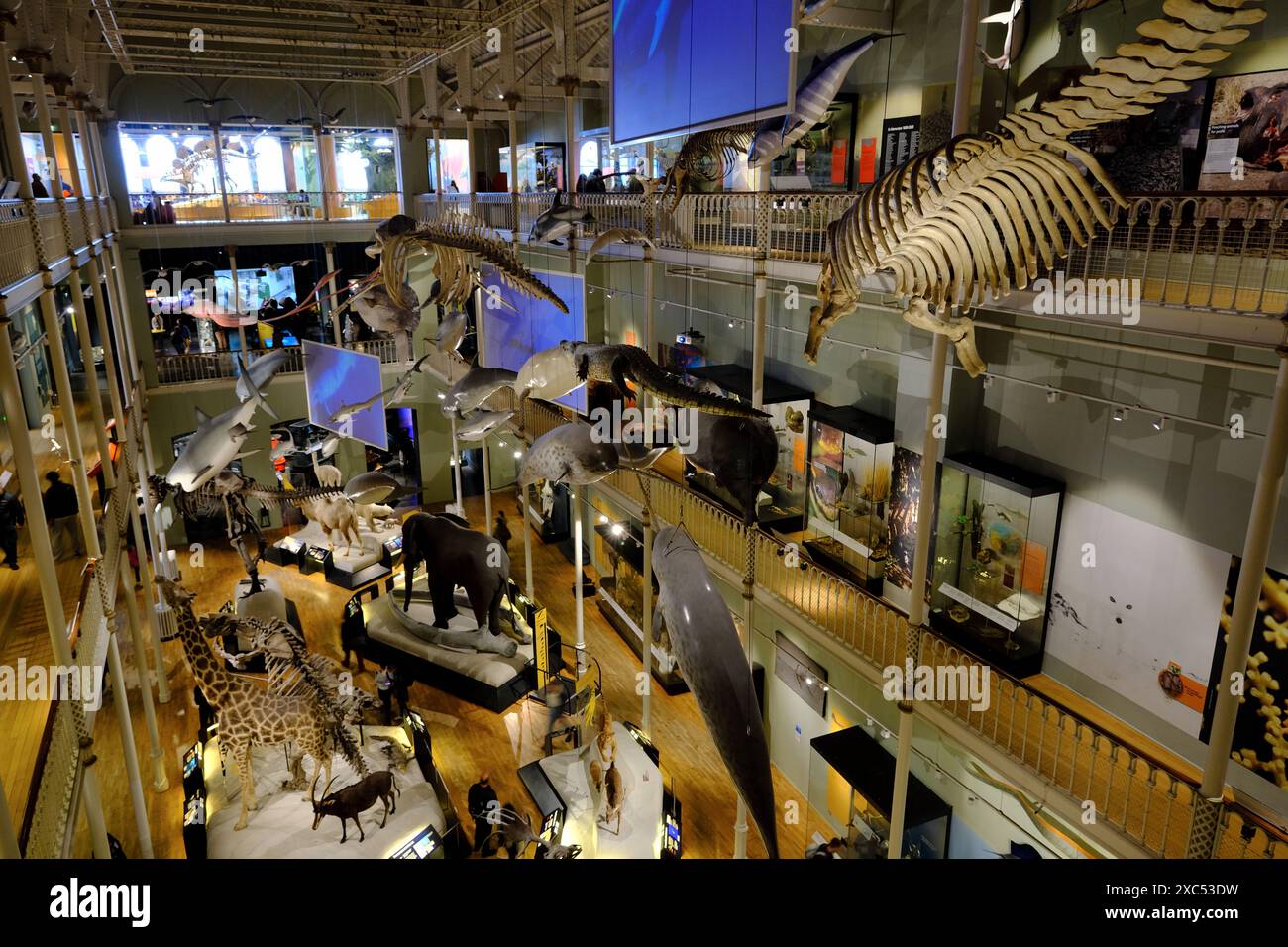 Natural World Galleries inside of National Museum of Scotland.Edinburgh ...