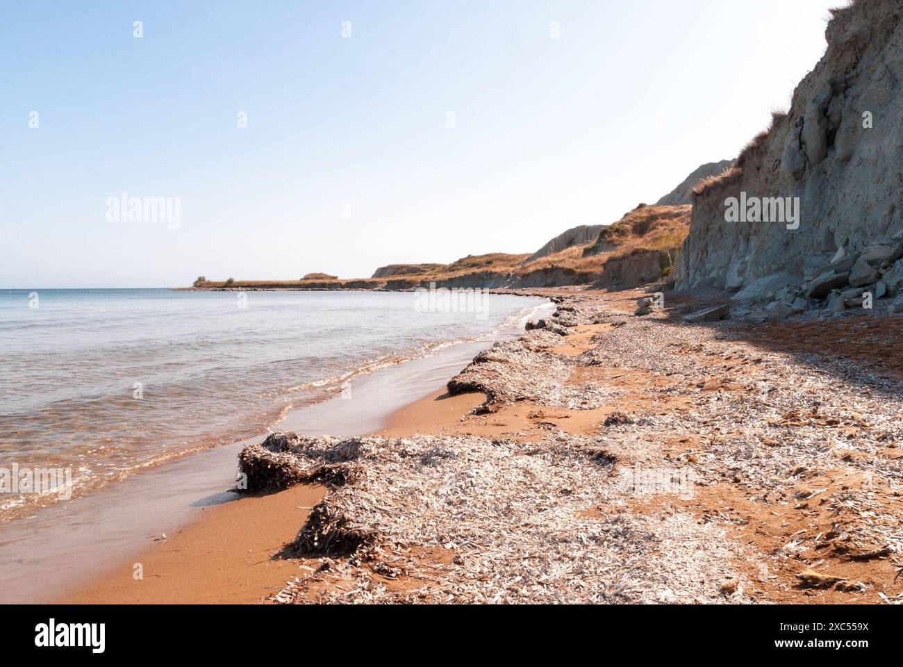 Red seaweed on sandy beach hi-res stock photography and images - Alamy
