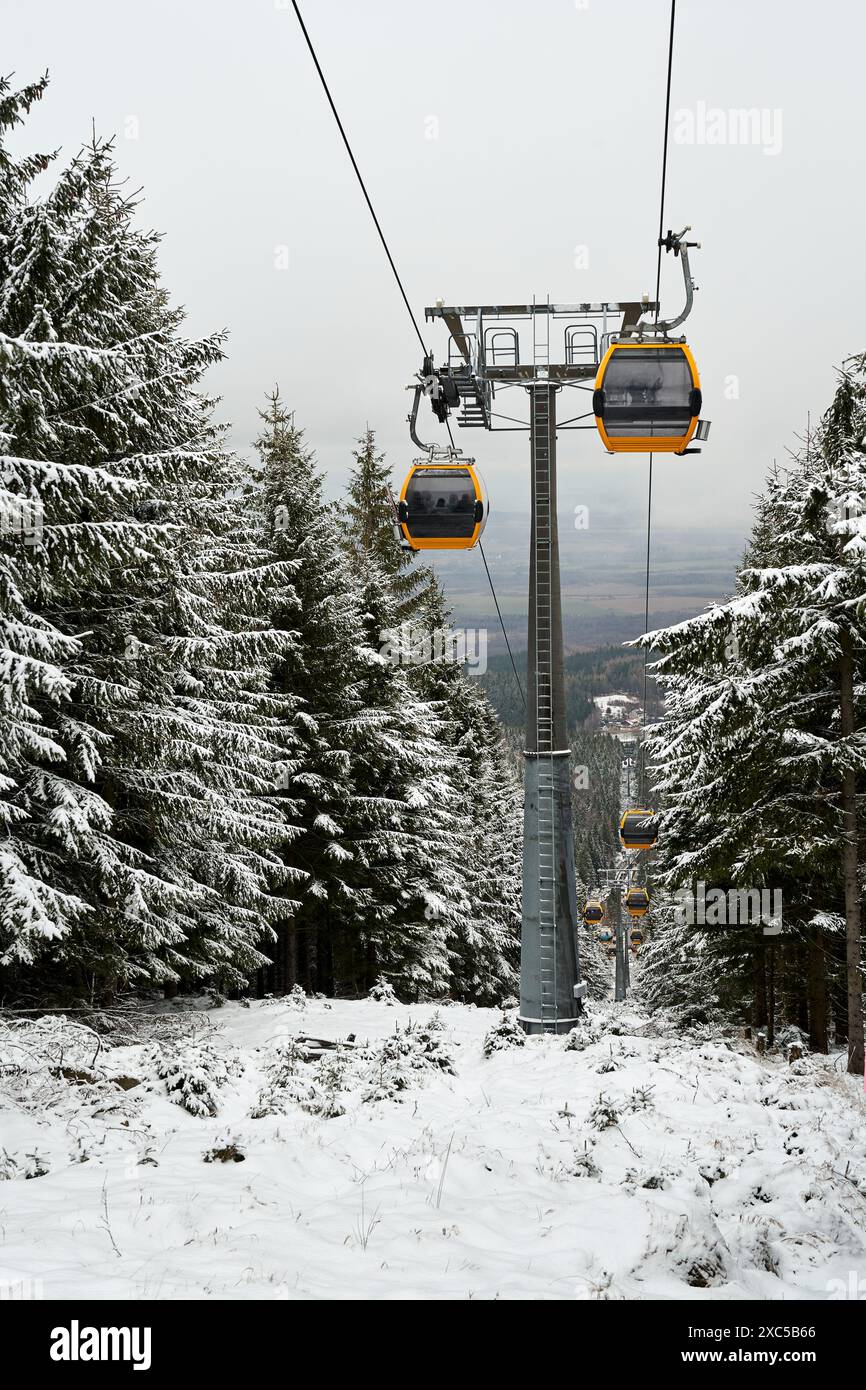 cable carts in a coniferous forest during winter in the Karkonosze ...