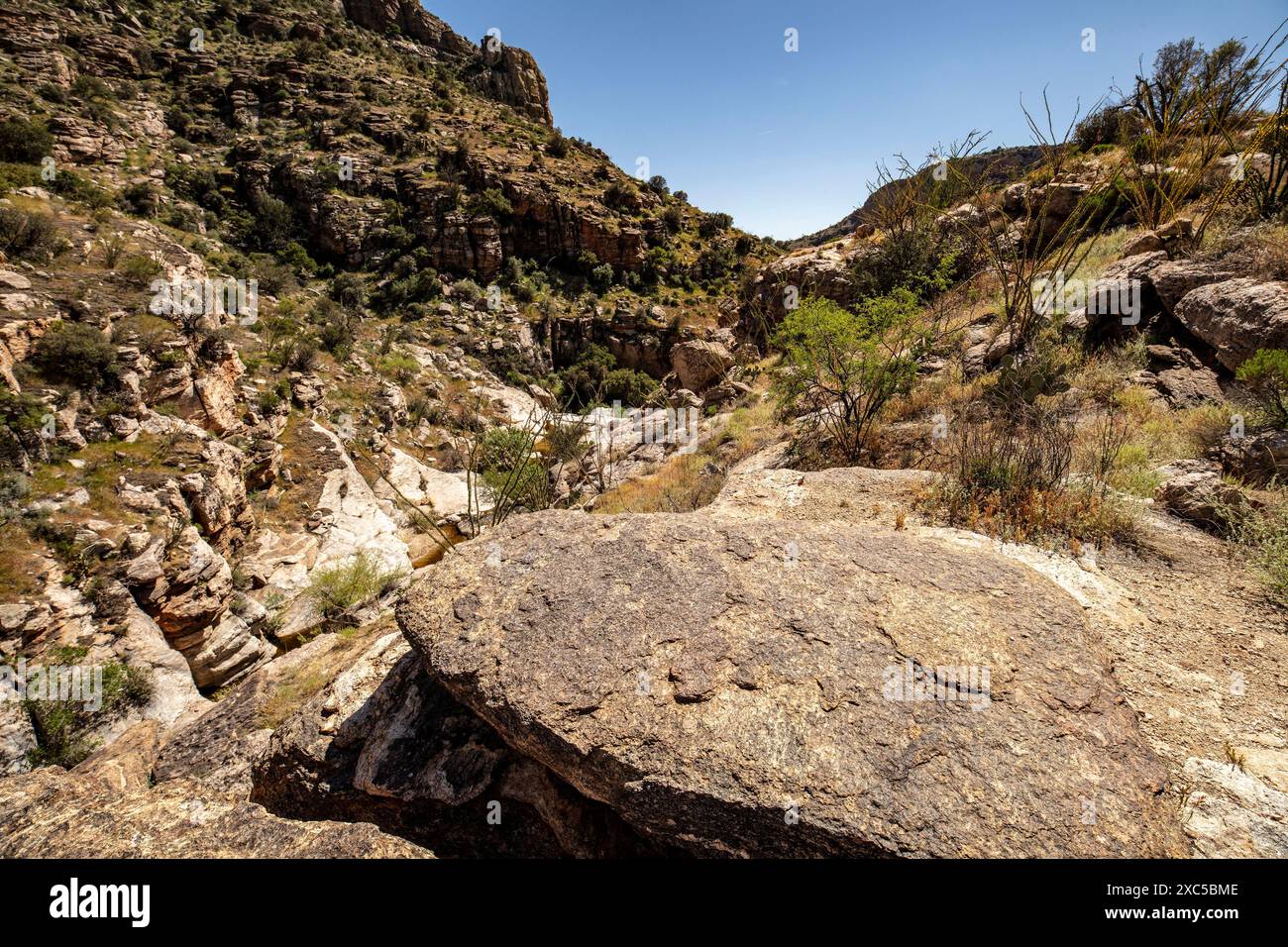 View along the Sky Island Scenic Byway, Mount Lemmon Highway, Hitchcock ...