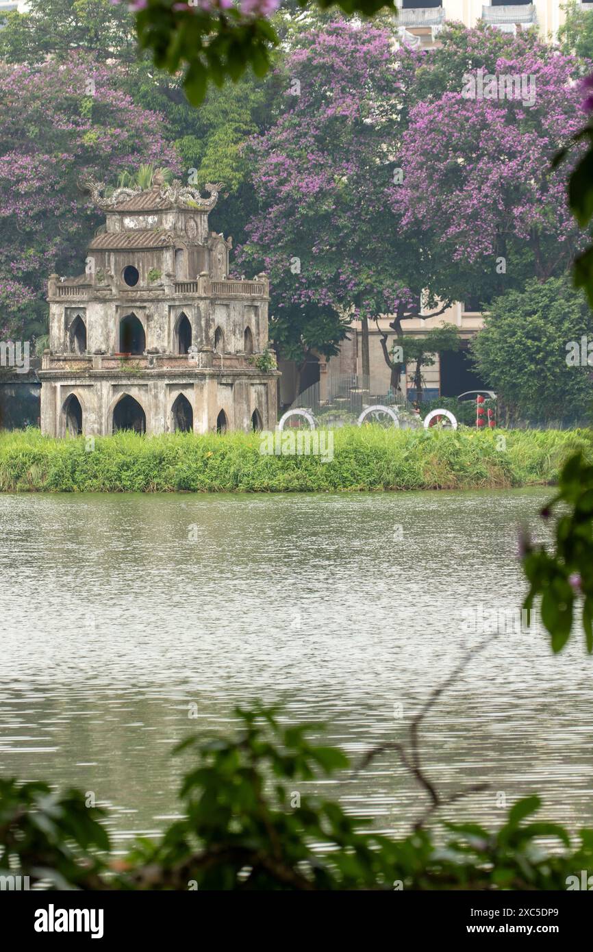 Alluring, astounding, breathtaking, compelling, excellent, glorious, intriguing must-see Turtle ...