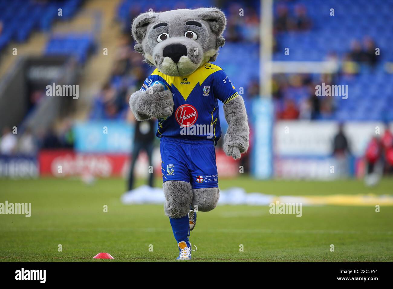Wolfie the Warrington Wolves mascot ahead of the Betfred Super League ...