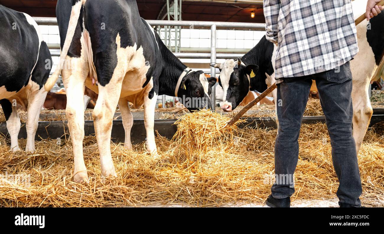 Male farm worker hi-res stock photography and images - Alamy