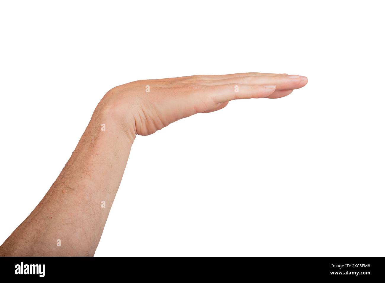 Hand gesturing with palm horizontal, fingers isolated on white. Level ...