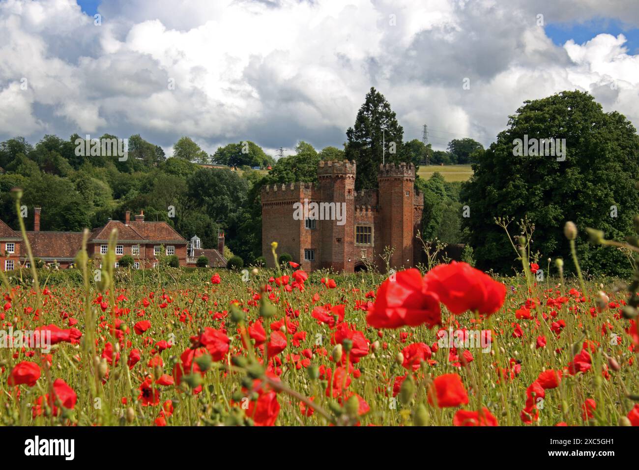 Lullingstone, Kent, England, UK. 14th June, 2024. A glorious display of ...