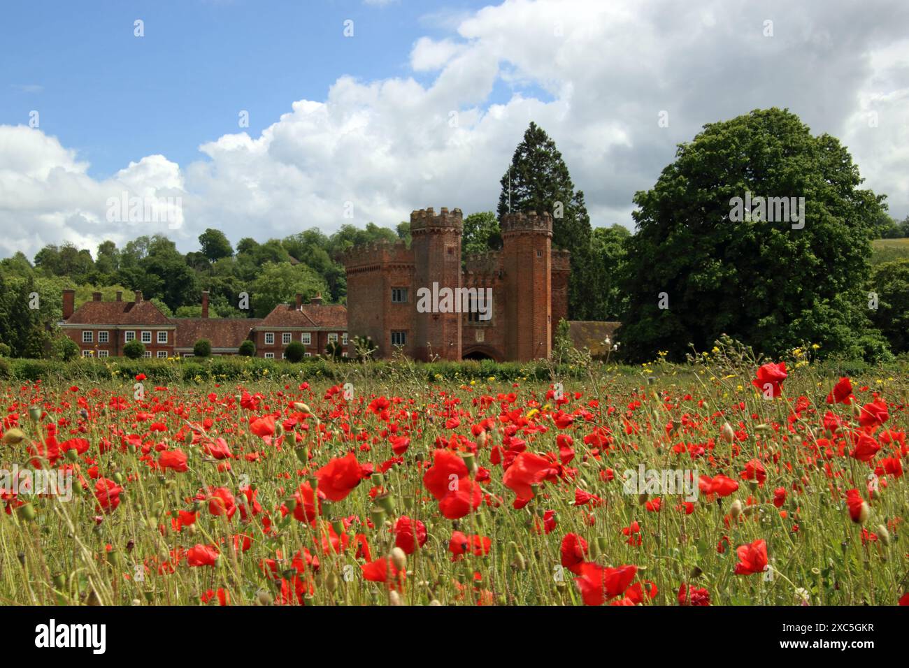 Lullingstone, Kent, England, UK. 14th June, 2024. A glorious display of ...
