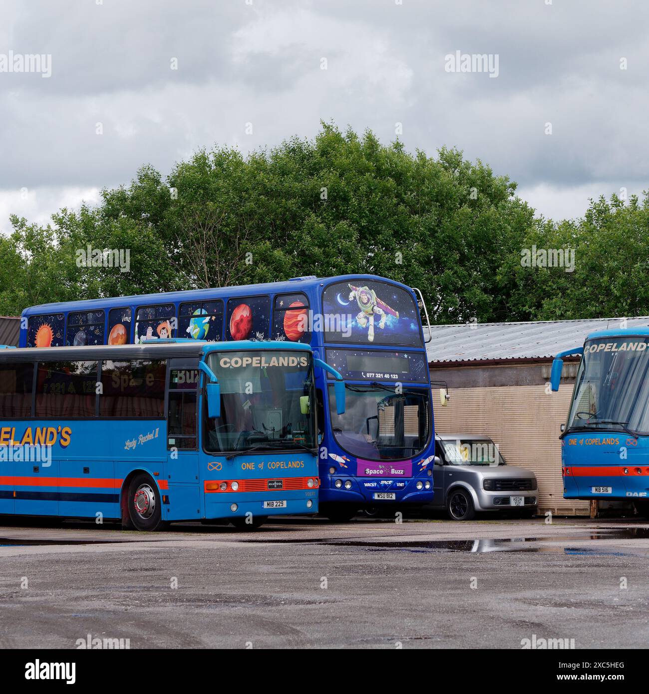 Buzz lightyear hi-res stock photography and images - Alamy
