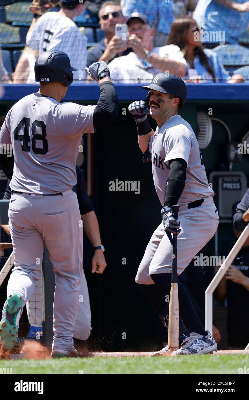 KANSAS CITY, MO - JUNE 13: New York Yankees catcher Austin Wells (28 ...