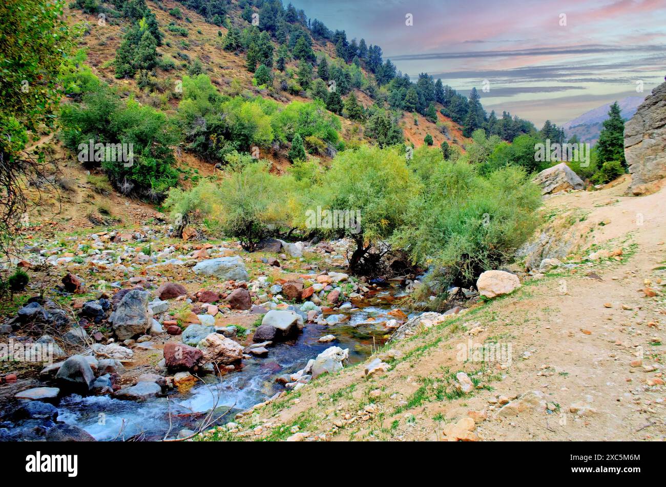 Uzbekistan Pamir mountains.The serene beauty of mountain rivers: a wild ...