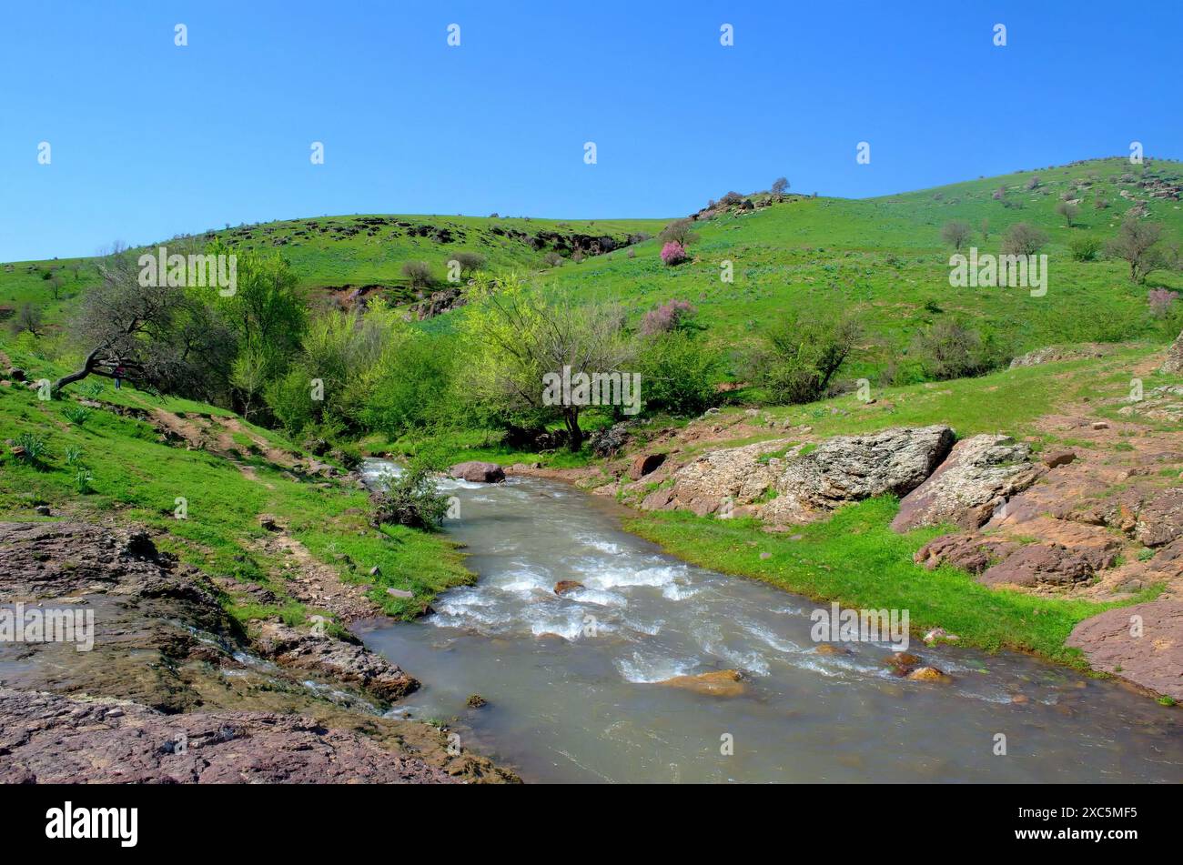 Uzbekistan Pamir mountains.The serene beauty of mountain rivers: a wild ...