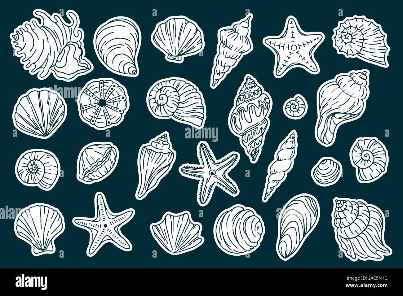 Set of cute sea shells sticker. Trendy doodle style collection of ...