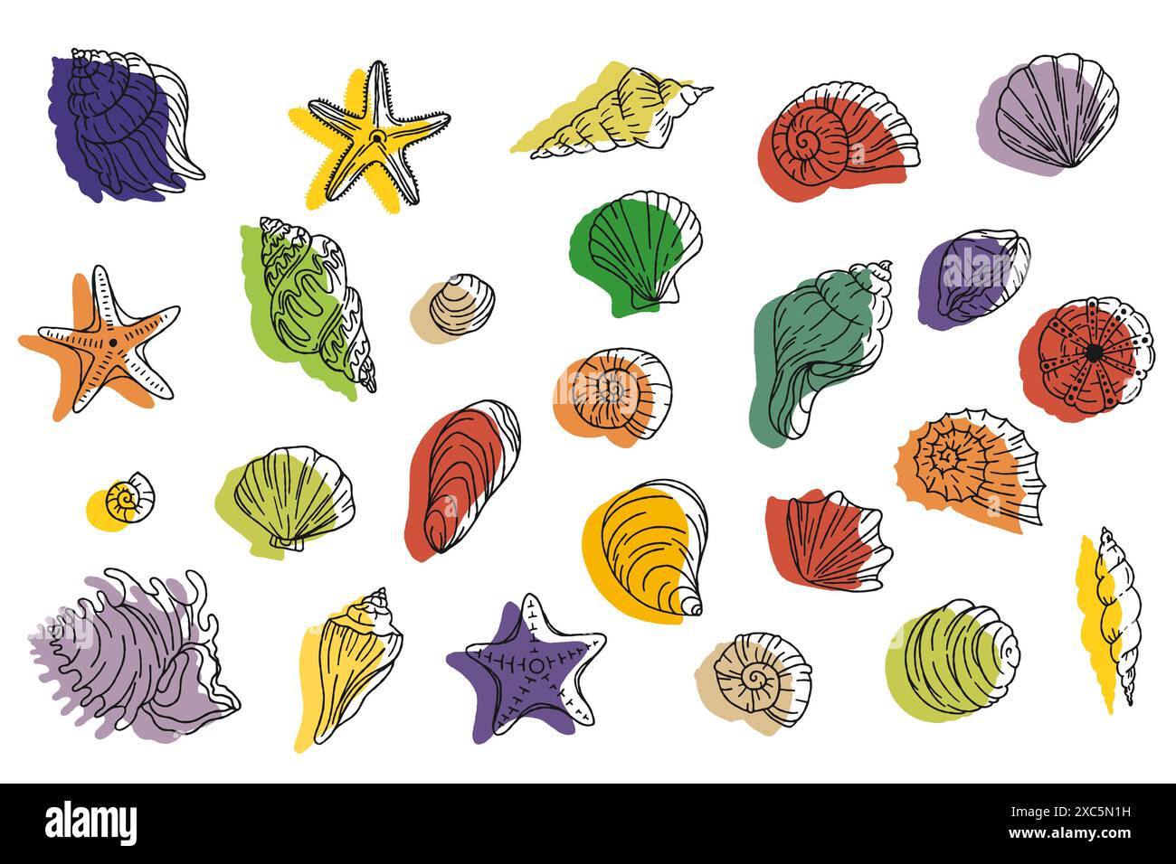 Hand drawn seashells hand drawn summer marine design, elements ...