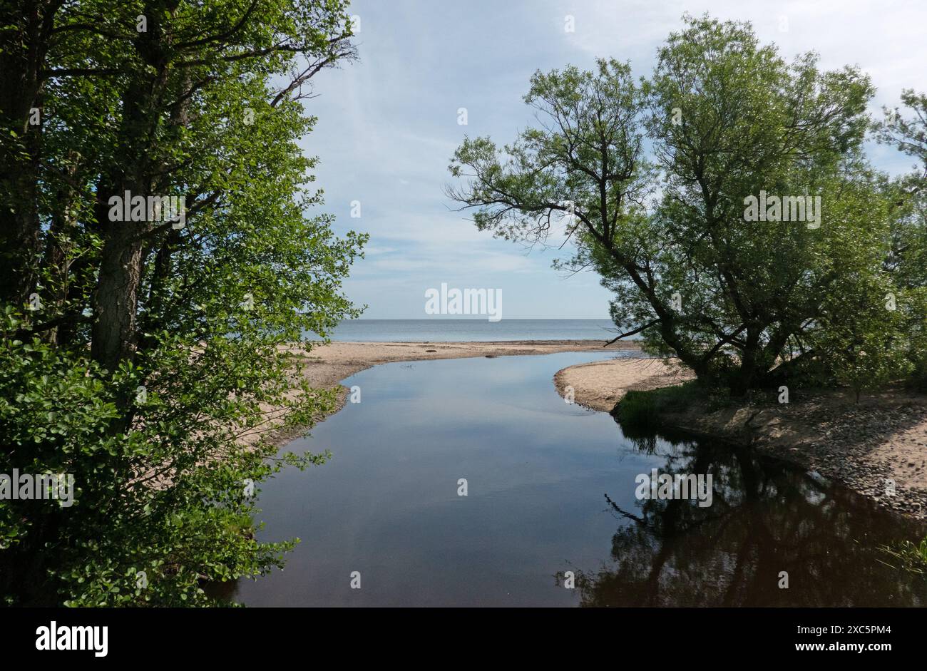 Scandinavian river flows into the sea via the beach, trees on both ...
