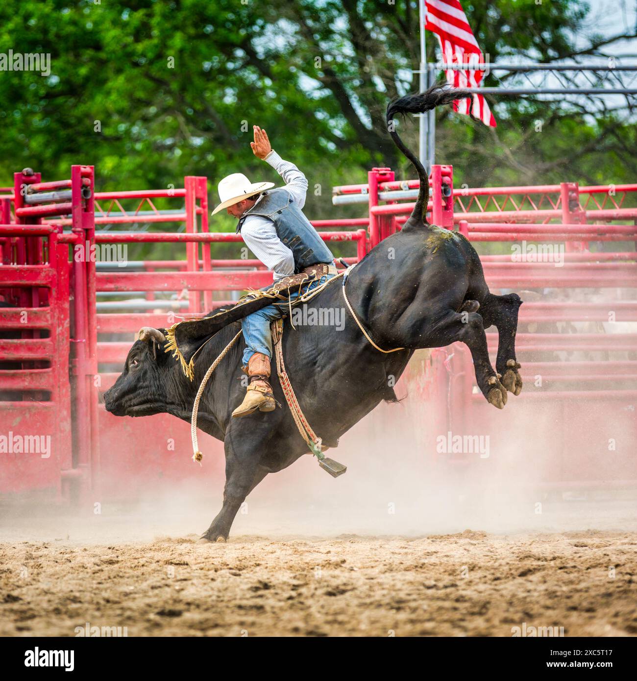 Unidentifiable bull rider in a generic rodeo arena Stock Photo - Alamy