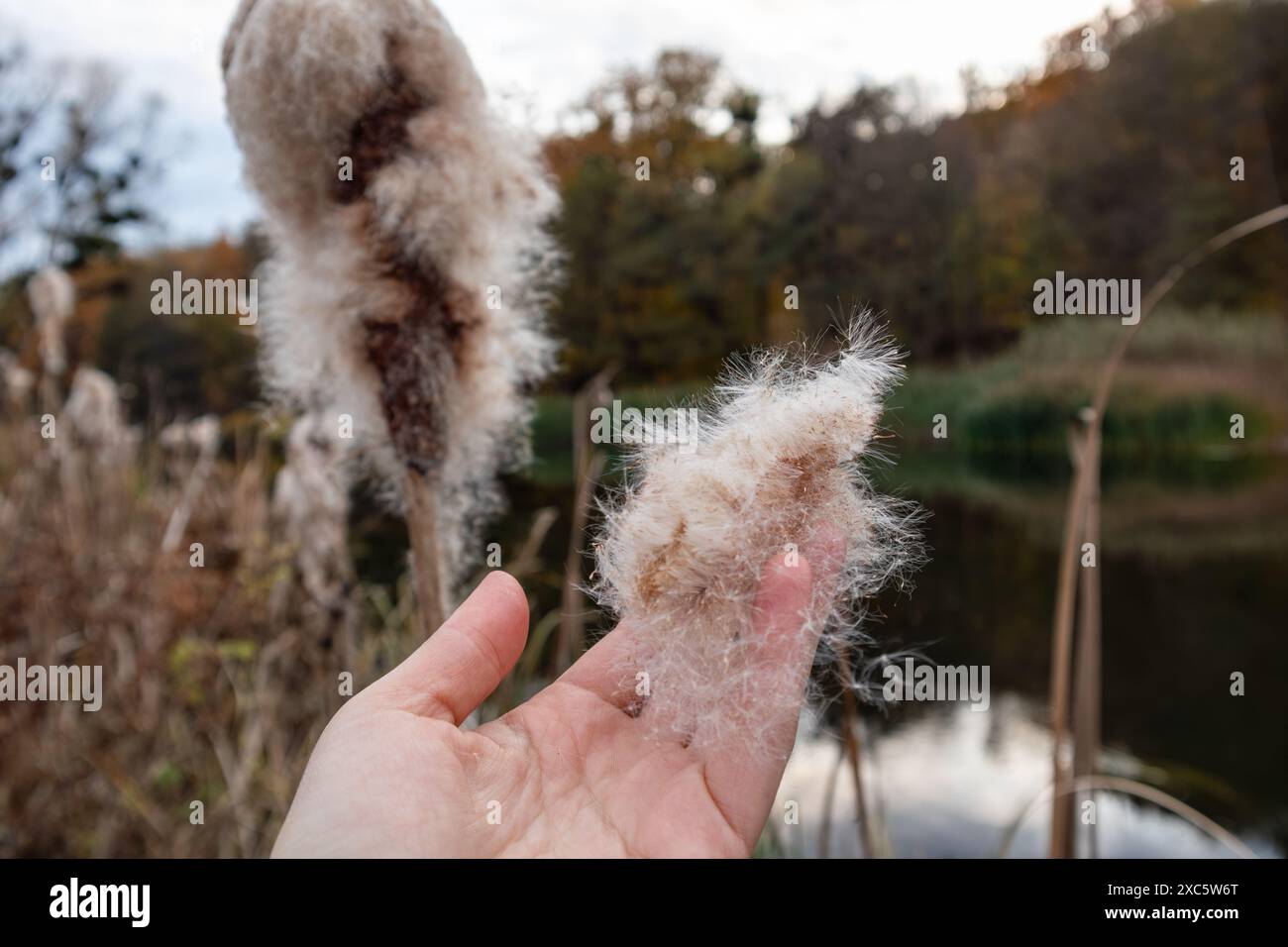 Cotton touch hi-res stock photography and images - Alamy