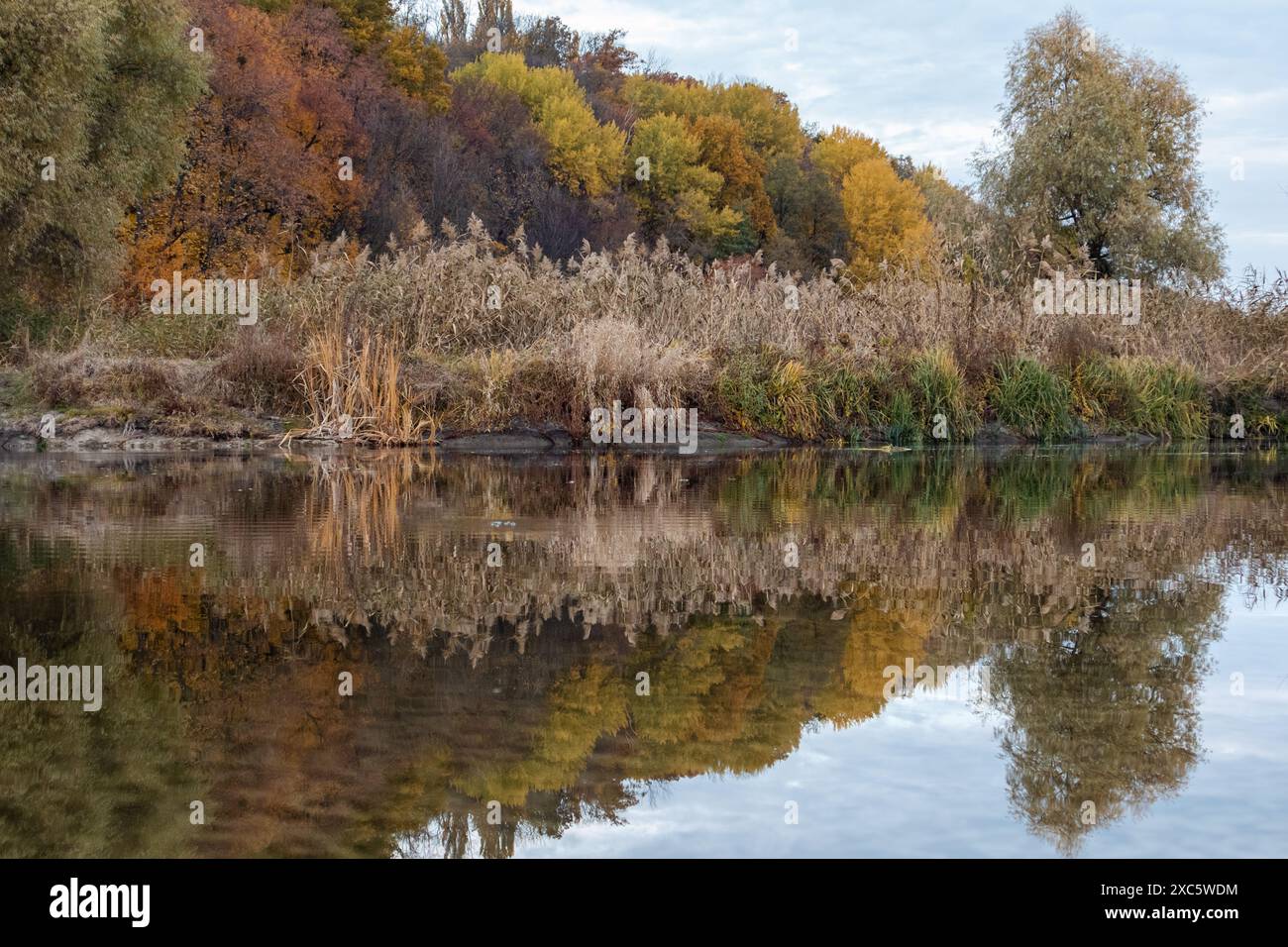 Scenic vibrant autumn riverside, nature with colorful trees reflecting ...