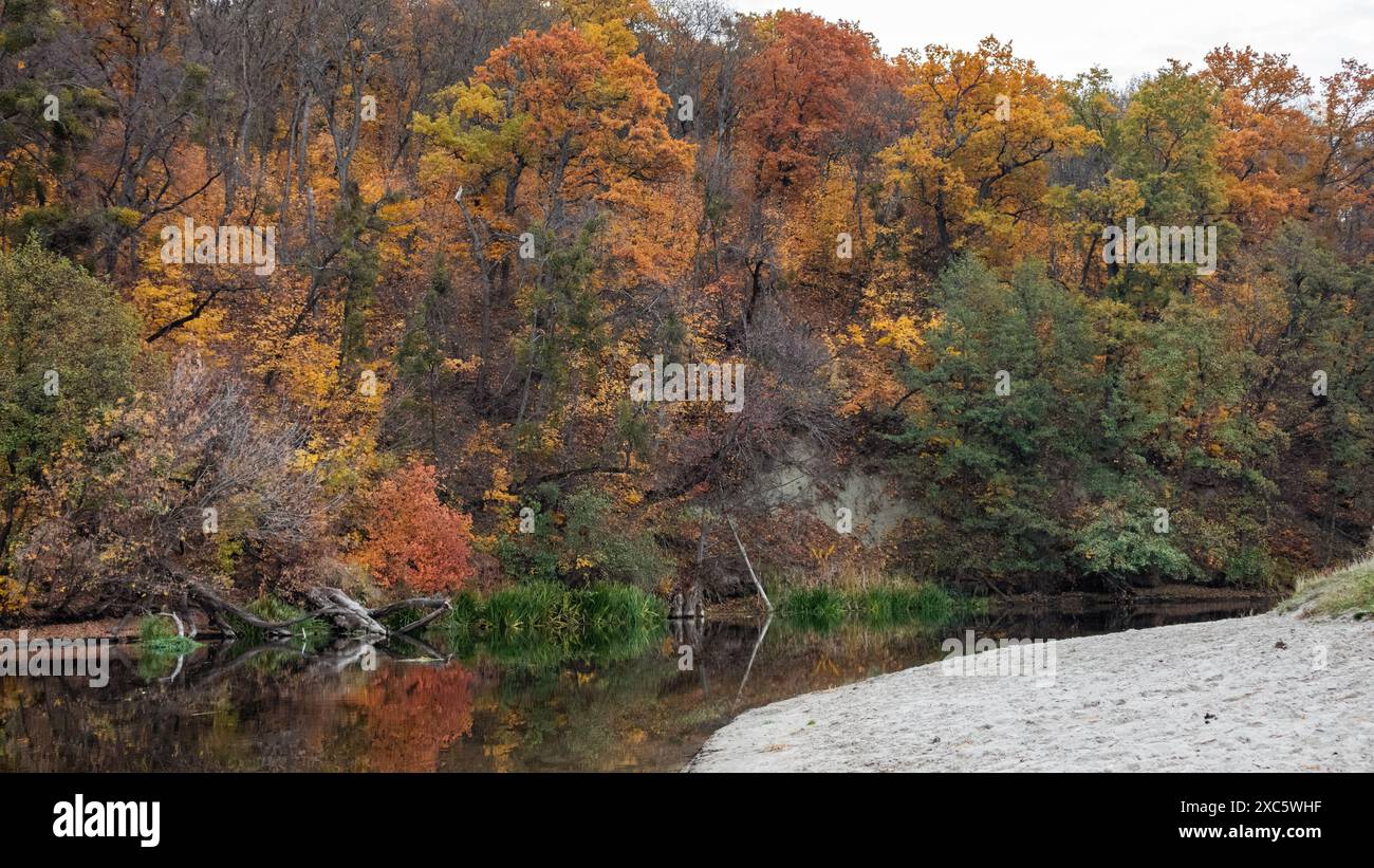Autumnal vibrant trees on sandy river shore with calm water Stock Photo ...