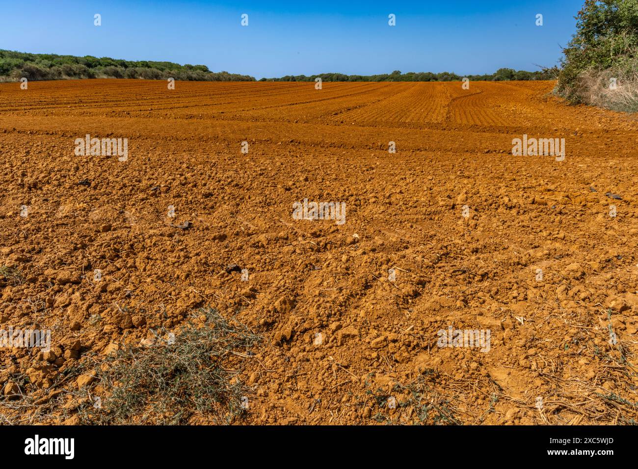 Hot summer dry red earth in the field farmers natural disaster Croatia ...