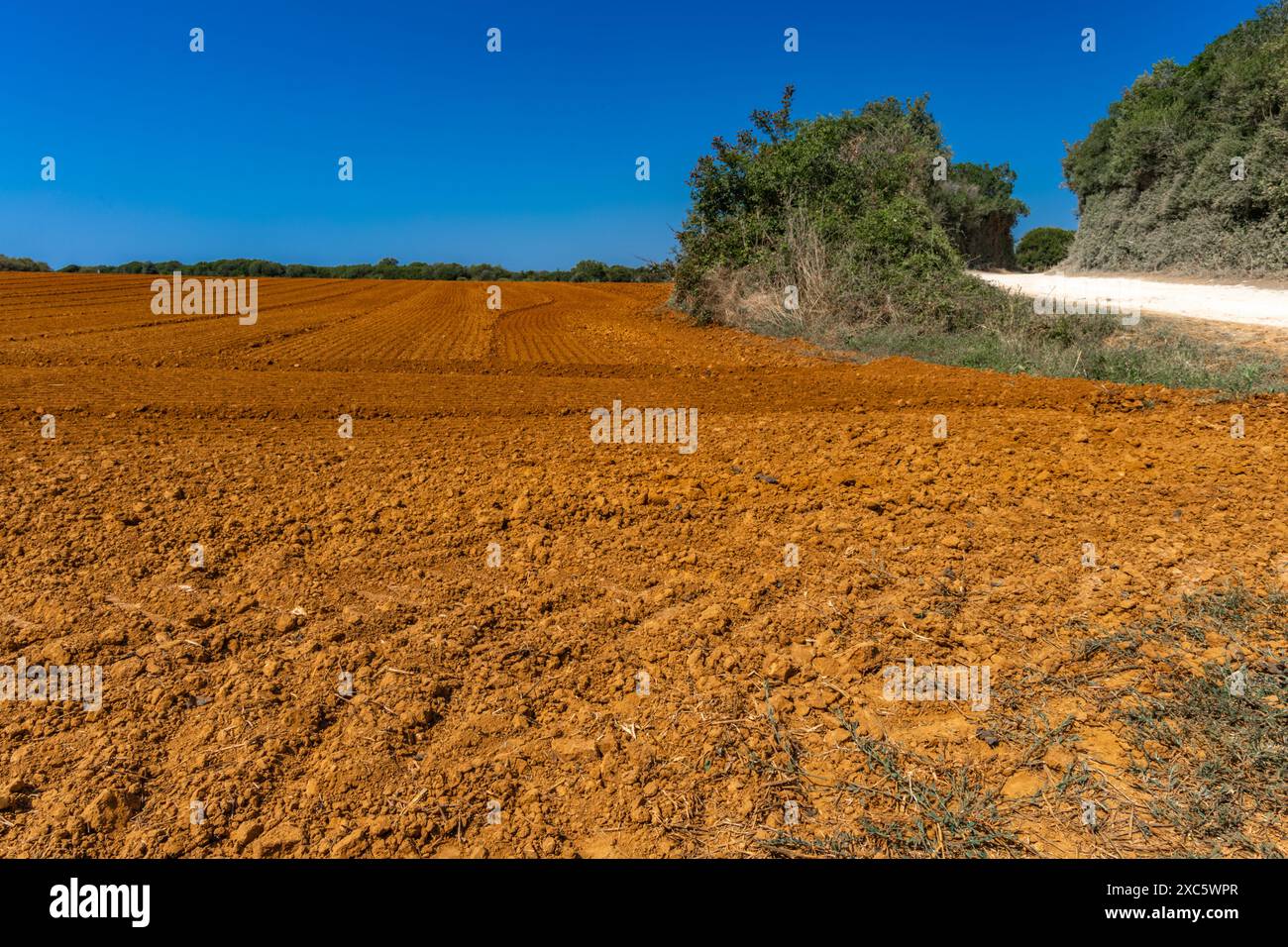 Hot summer dry red earth in the field farmers natural disaster Croatia ...