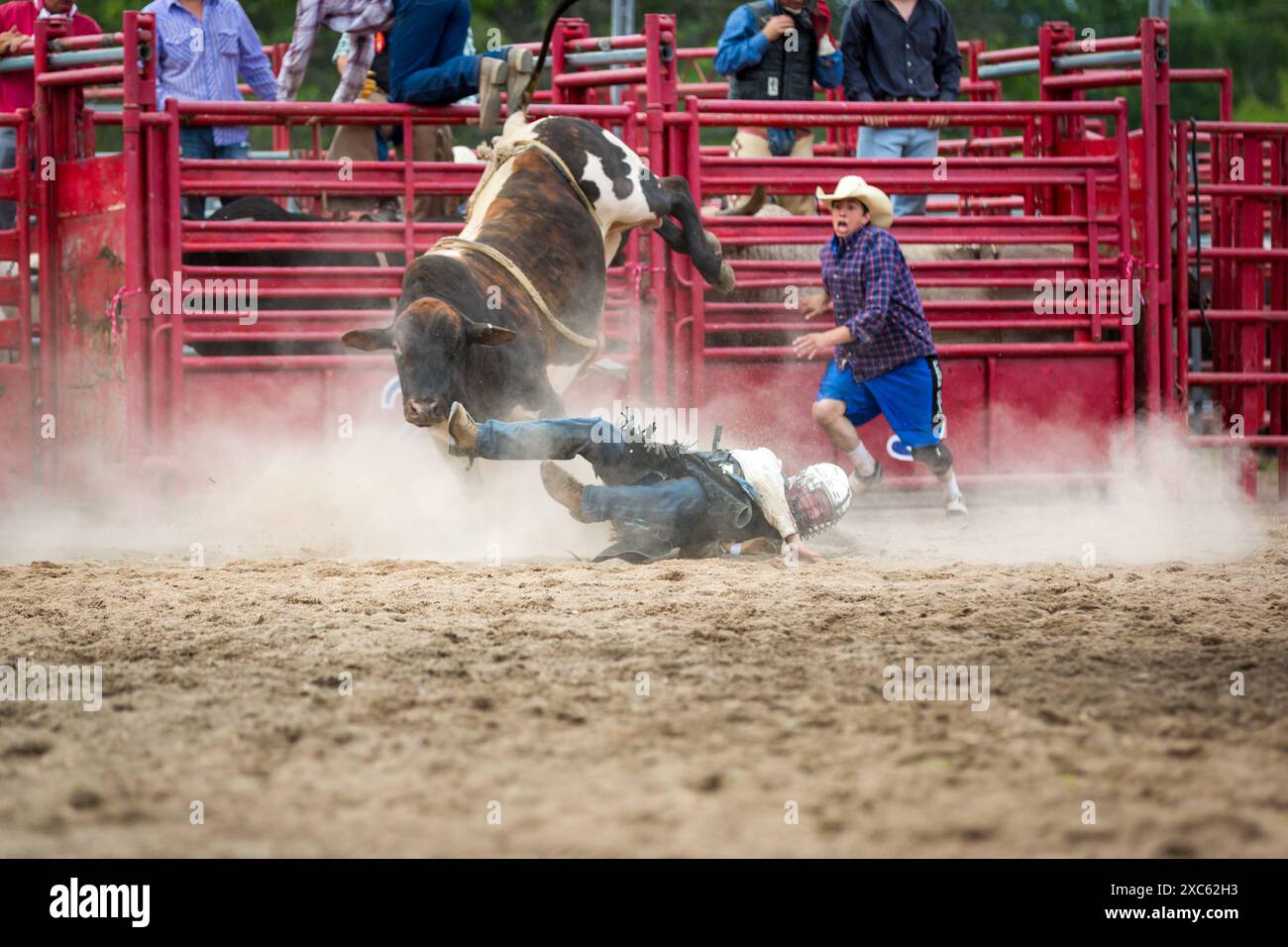 Rodéo arena hi-res stock photography and images - Alamy