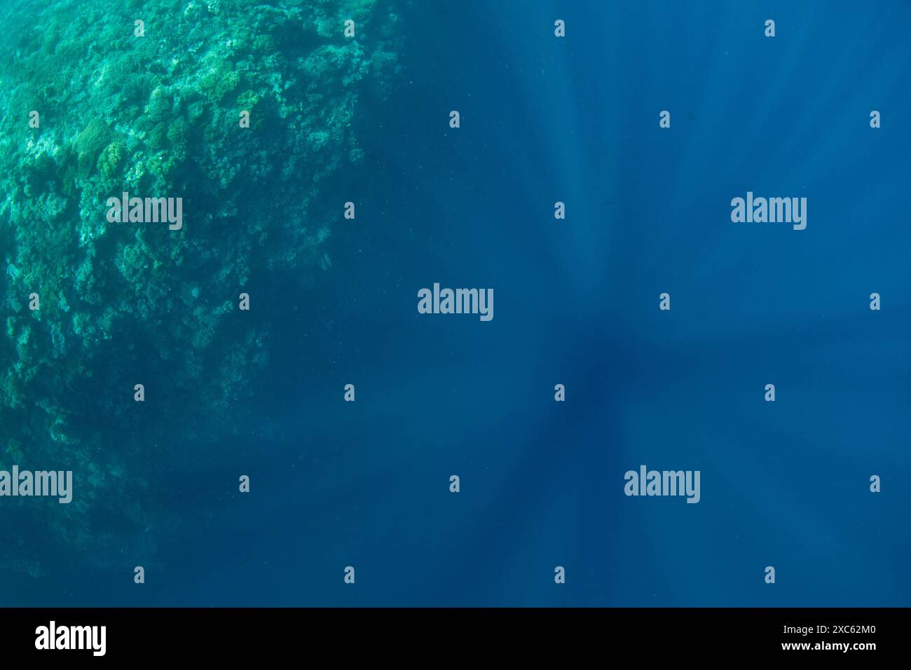 Beams of sunlight descend into the depths of the Pacific Ocean next to ...