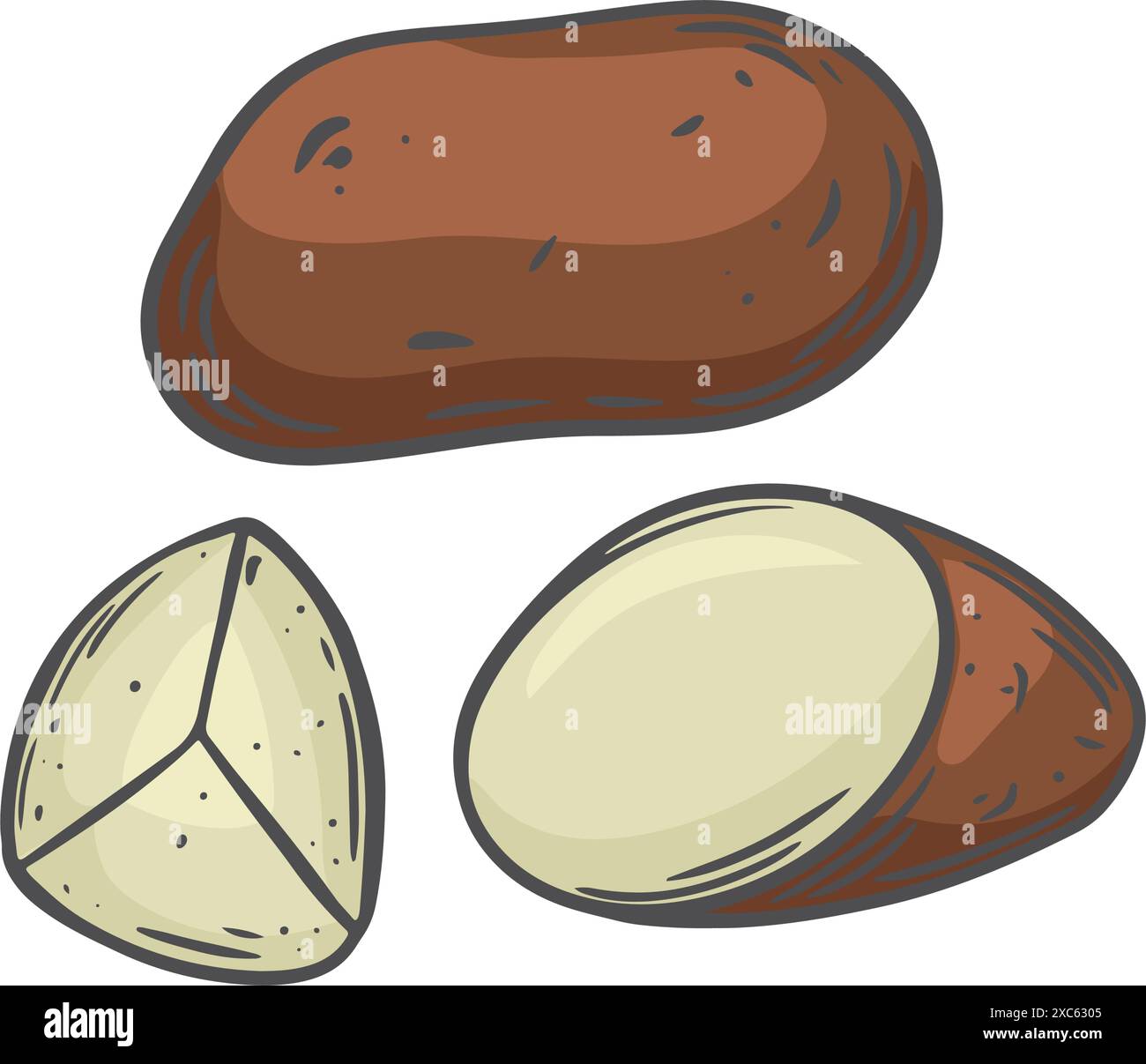 Three potatoes line drawing vector vintage illustration Stock Vector ...