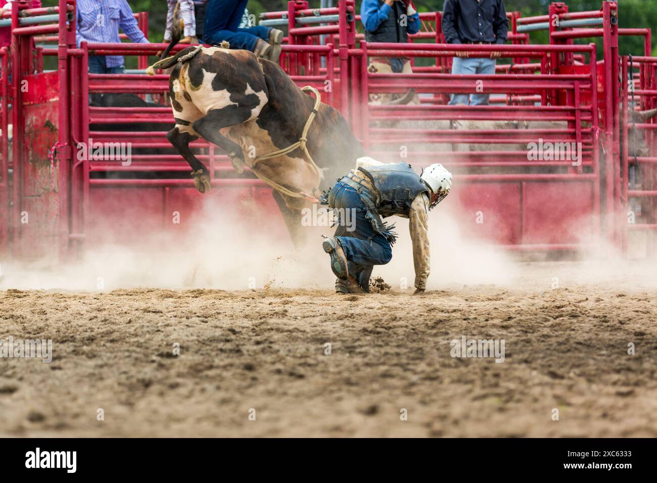 Bull rider in action rodeo hi-res stock photography and images - Alamy