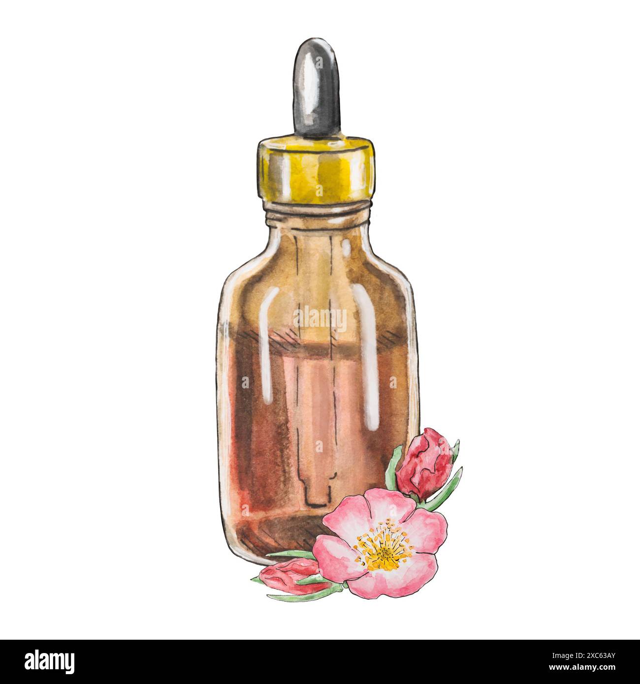 Watercolor illustration of glass dropper bottle with pipette filled ...