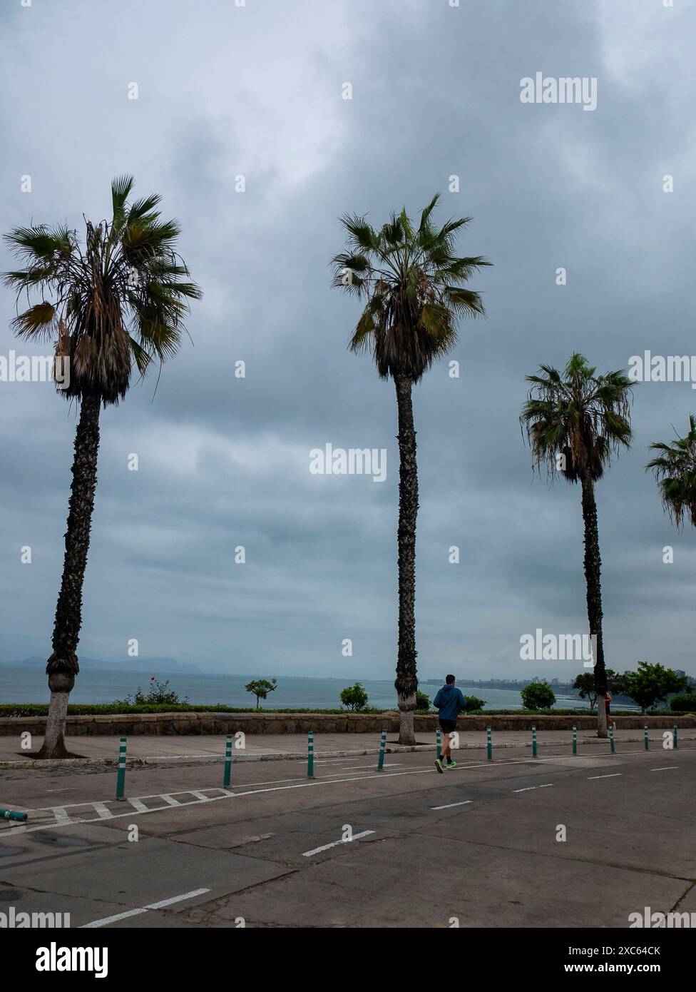 Sporty Man Running in a Street next to the Sea with Many Palm Trees on ...