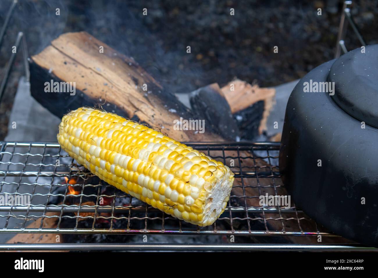 Corn cooking on a grill on a camp fire Stock Photo - Alamy