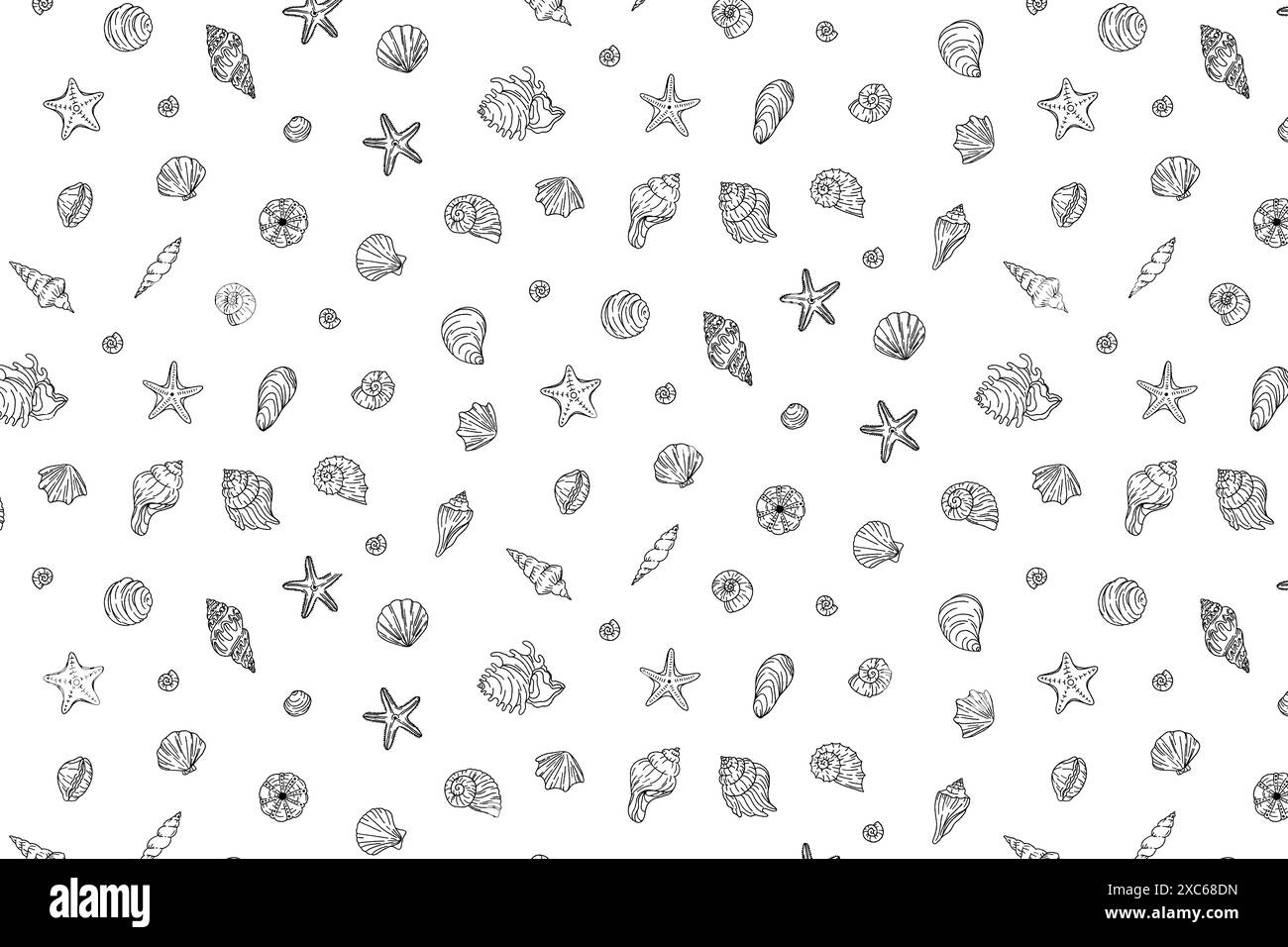 Seashells doodle hand drawn wallpaper. Ocean seashell, starfish spiral ...