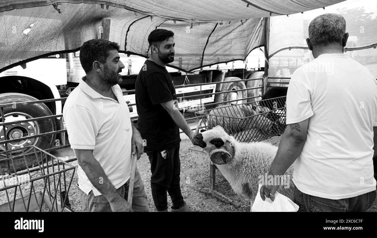 Trough market Black and White Stock Photos & Images - Alamy