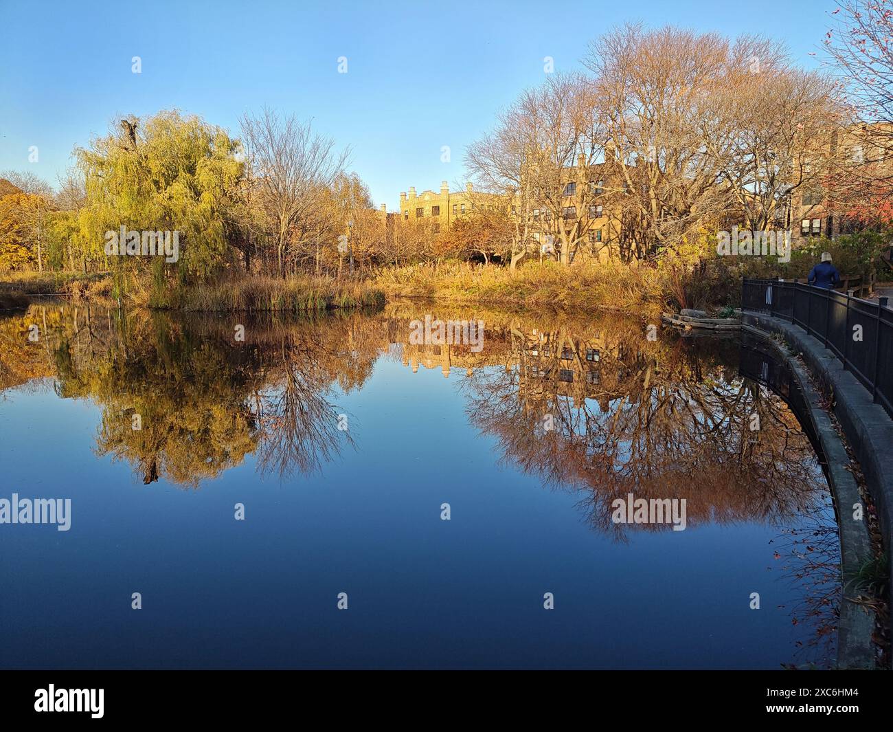 Indian Boundary Park duck pond in the Rogers Park neighborhood of ...