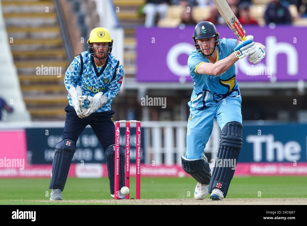 Revis family hi-res stock photography and images - Alamy