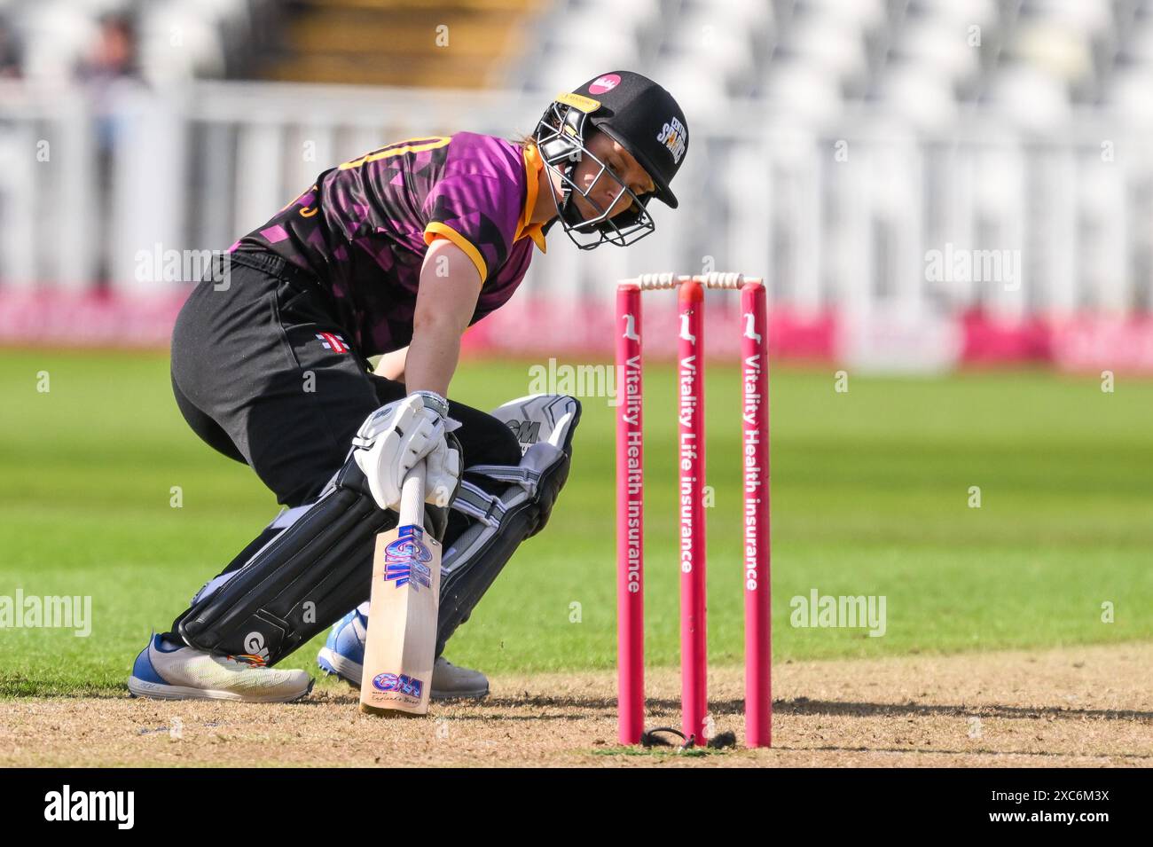 Amy Jones of Central Sparks reaches for the crease during the Charlotte ...
