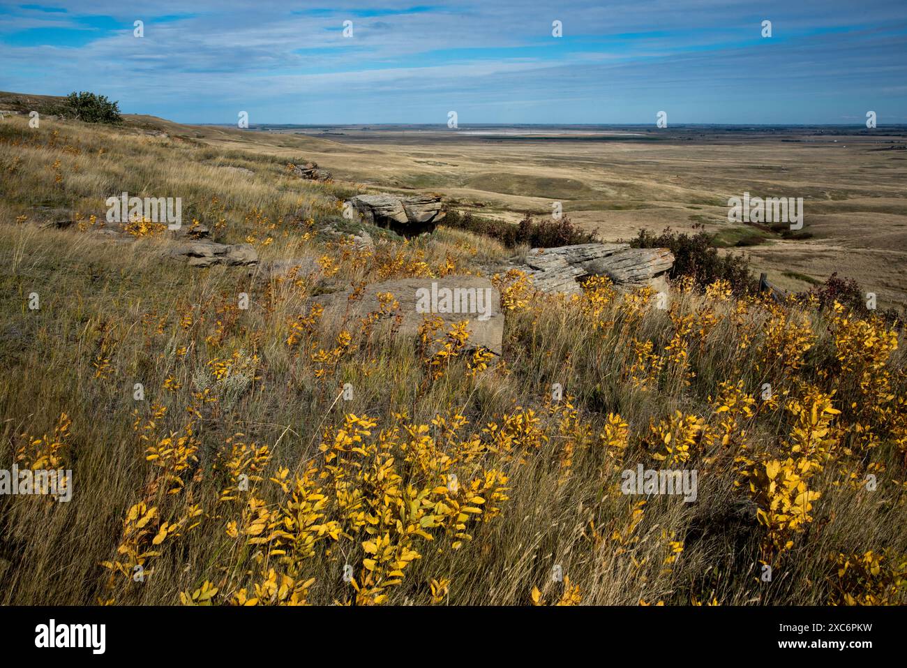 Head-Smashed-In Buffalo Jump is a World Heritage Site in Alberta in ...