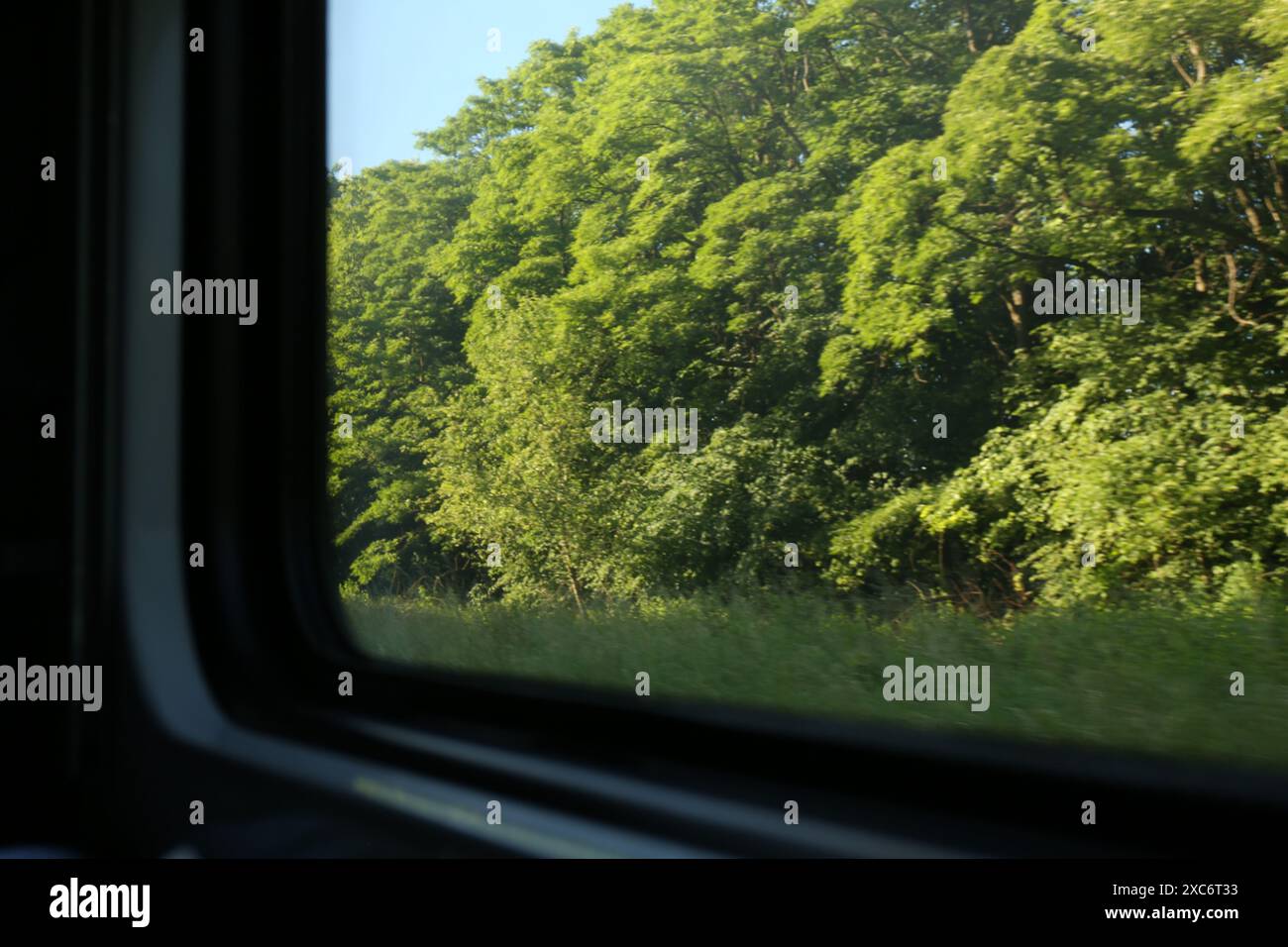 View of green trees through train window Stock Photo - Alamy