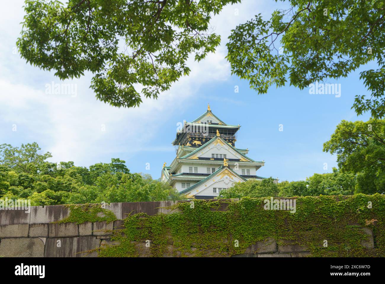 Beautiful, traditional Japanese osaka castle, framed by lush green ...