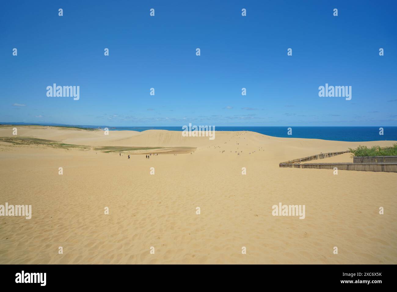 Tottori Sand Dunes landscape with rolling sand dunes under a clear ...