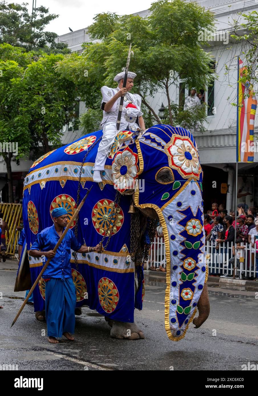 A ceremonial elephant parades along a street at Kandy in Sri Lanka ...