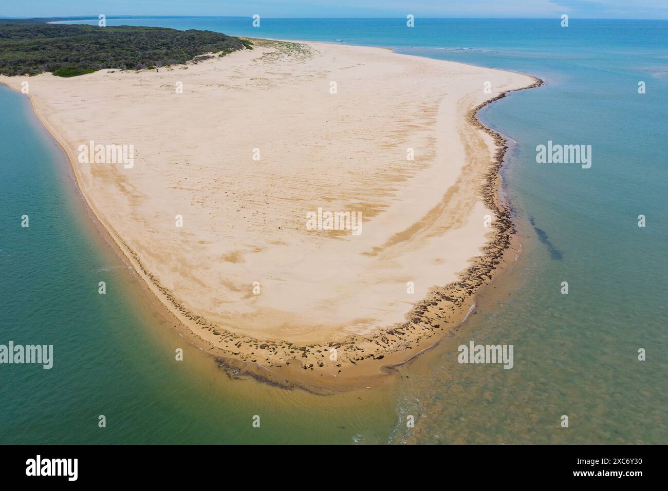 Aerial view of a smooth sandy beach exposed at low tide in a coastal ...