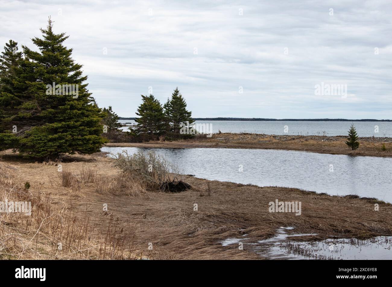 Necum Teuch Harbour in Moser River, Nova Scotia, Canada Stock Photo - Alamy