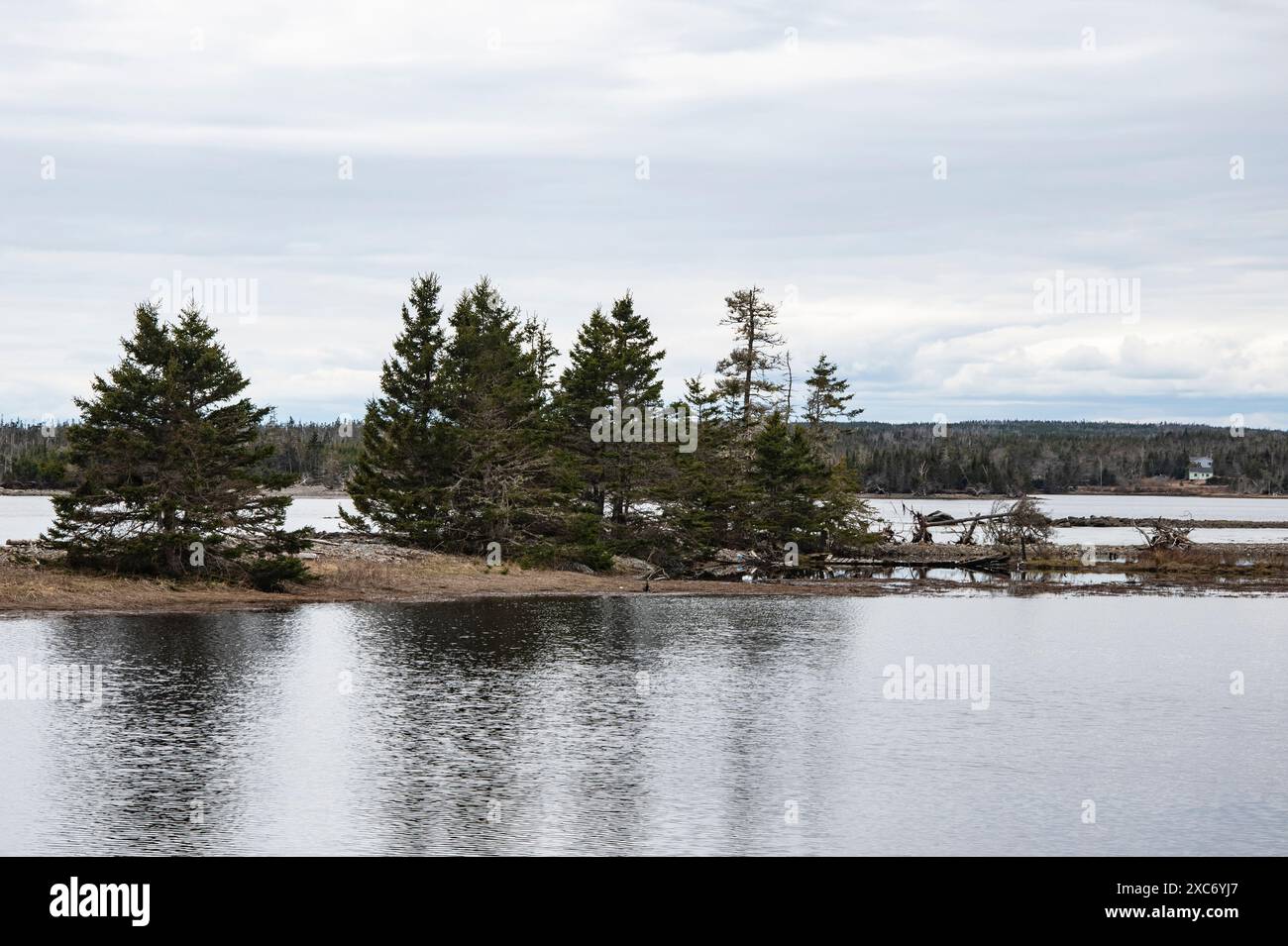 Necum Teuch Harbour in Moser River, Nova Scotia, Canada Stock Photo - Alamy