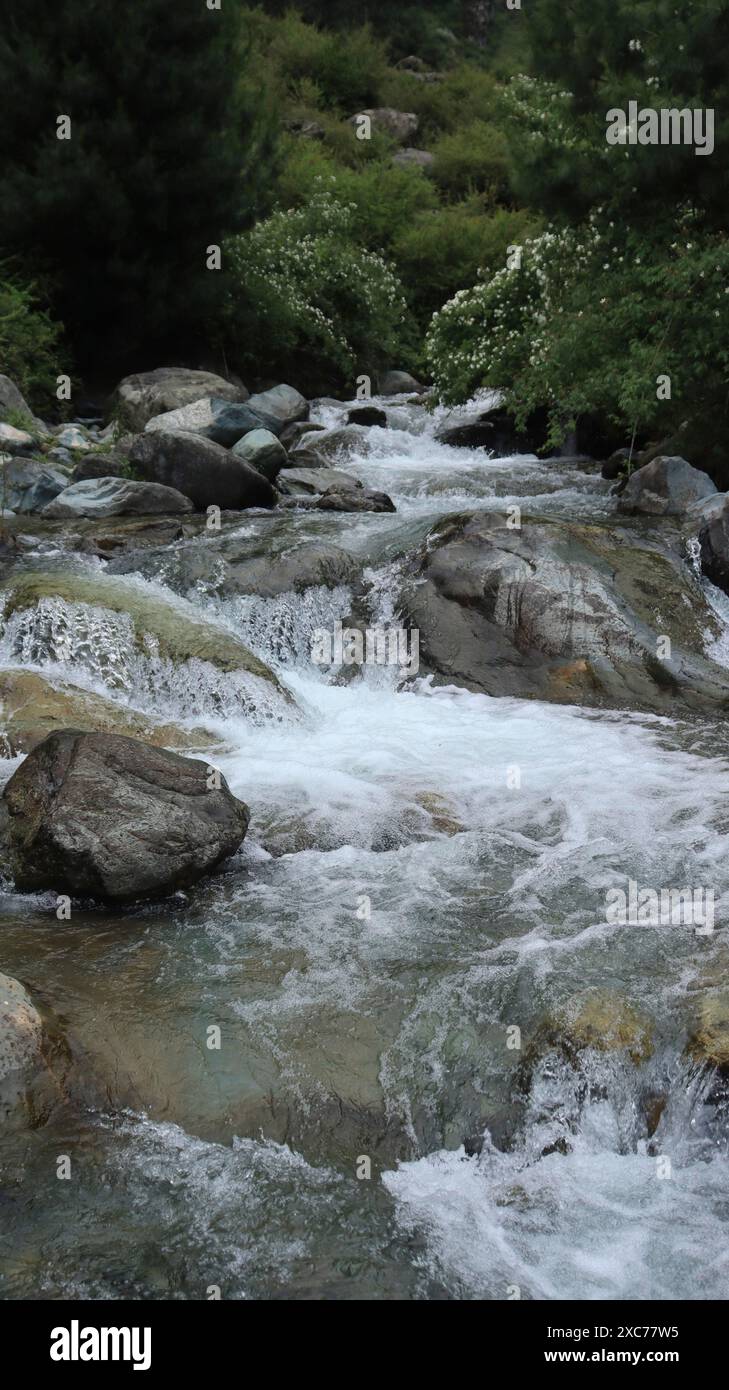 Small cascading waterfall over rocks surrounded by lush green ...