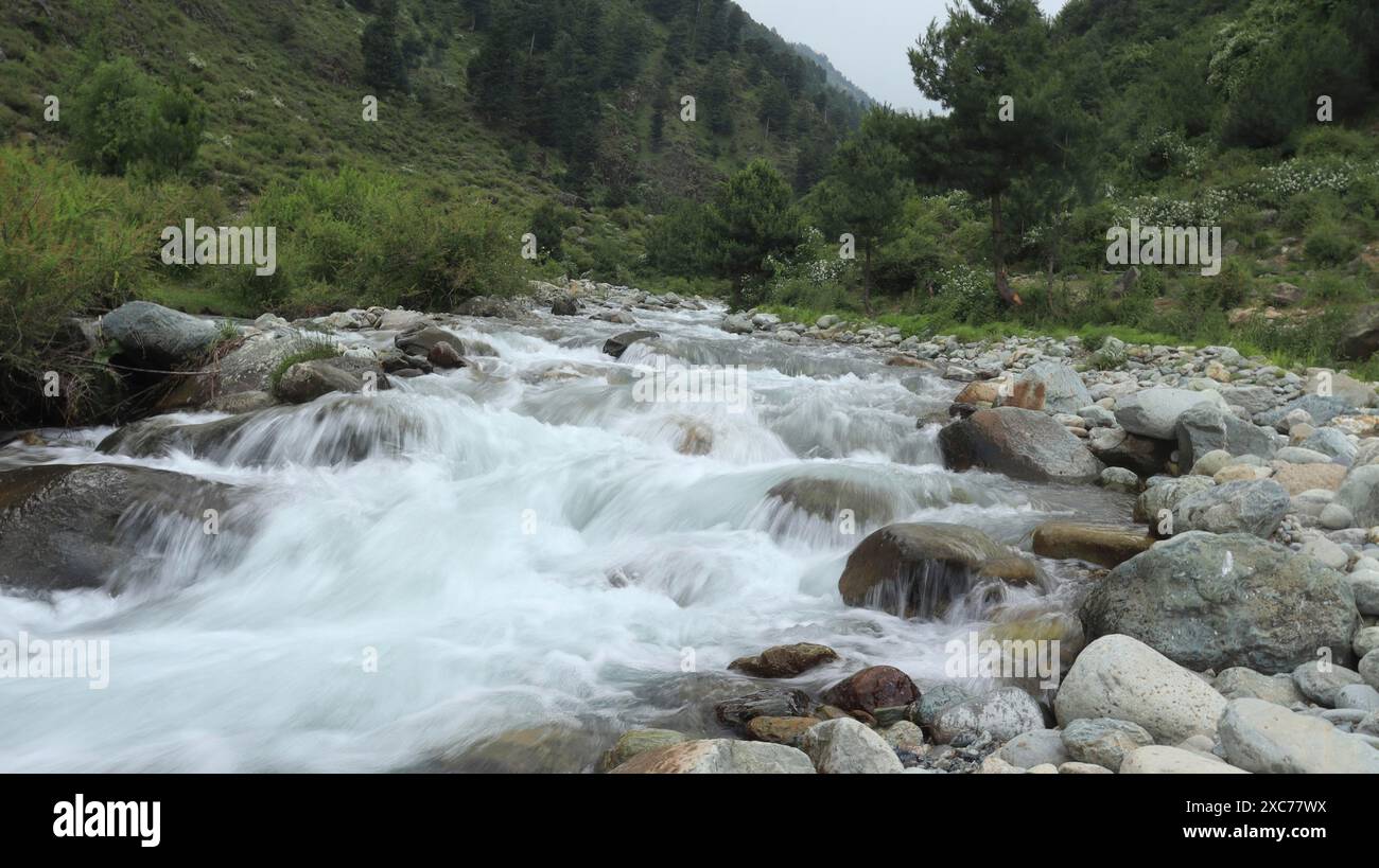 Rapid flowing stream over rocks in a green natural setting, Tral ...