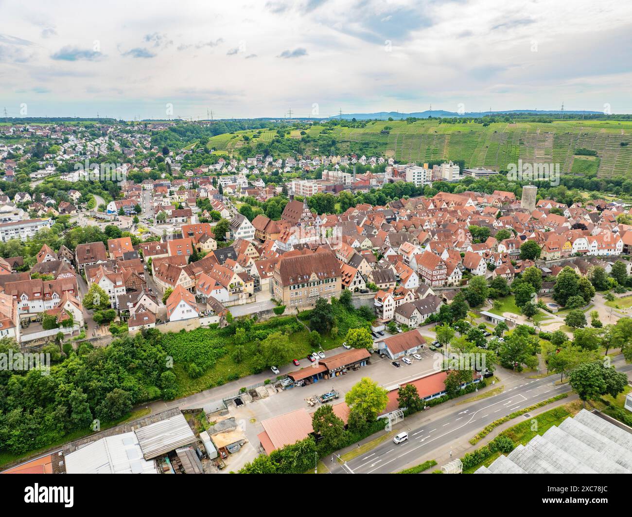 Urban settlement with tightly packed red roofs, surrounded by green ...