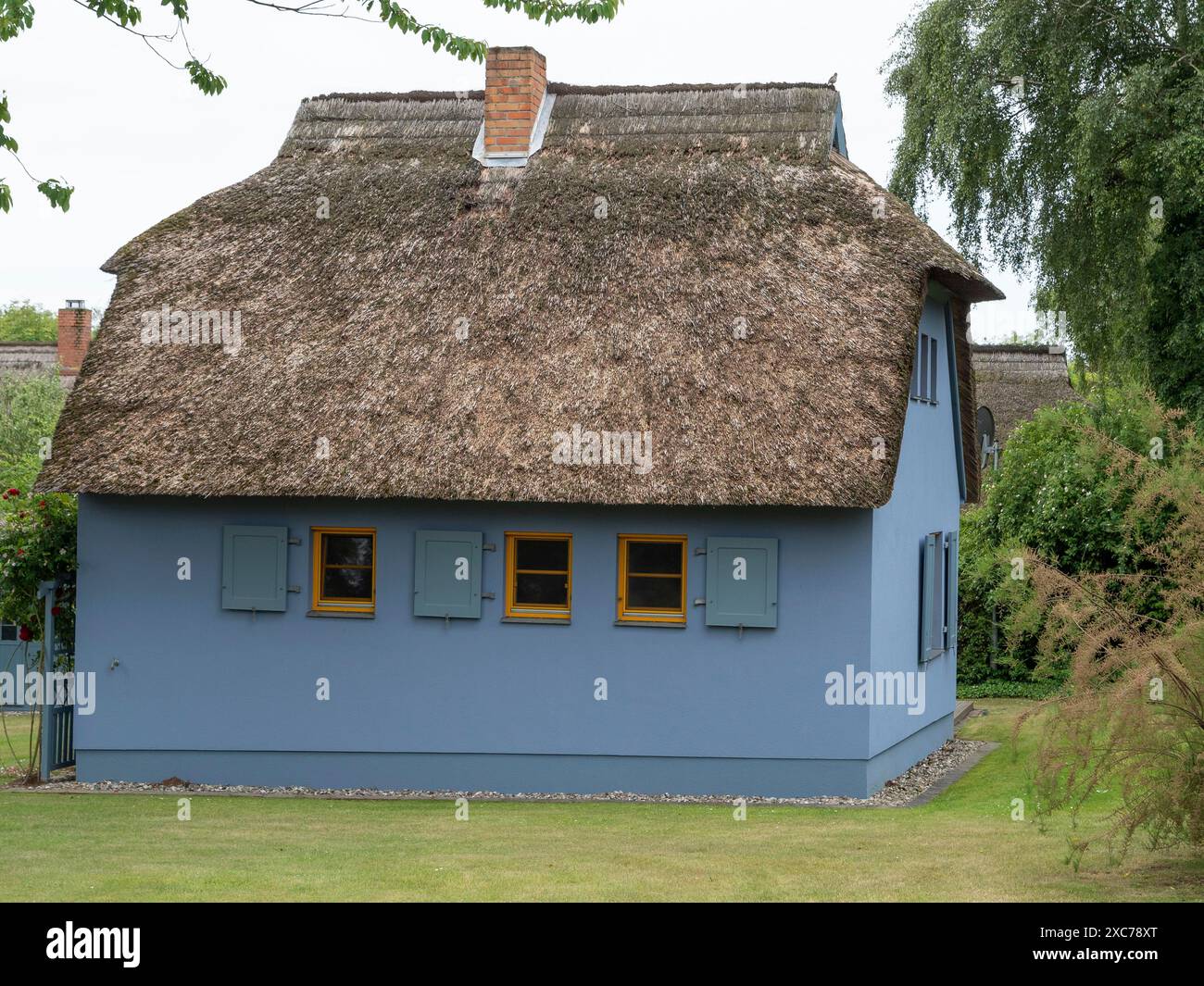 Blue country house with thatched roof and yellow shutters in a rural ...