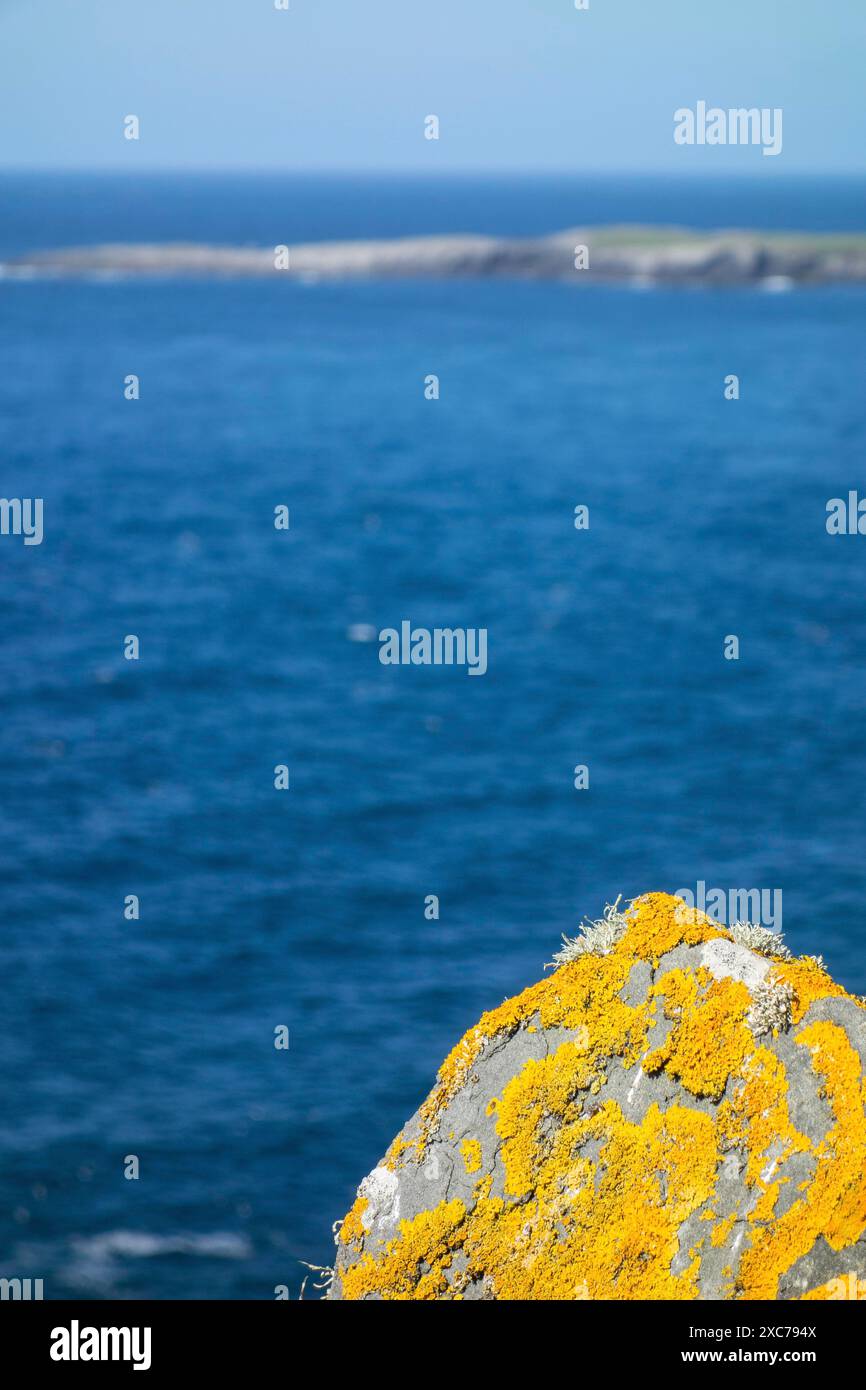 Moss-covered rocks jut out of the coastal landscape into the blue ocean ...