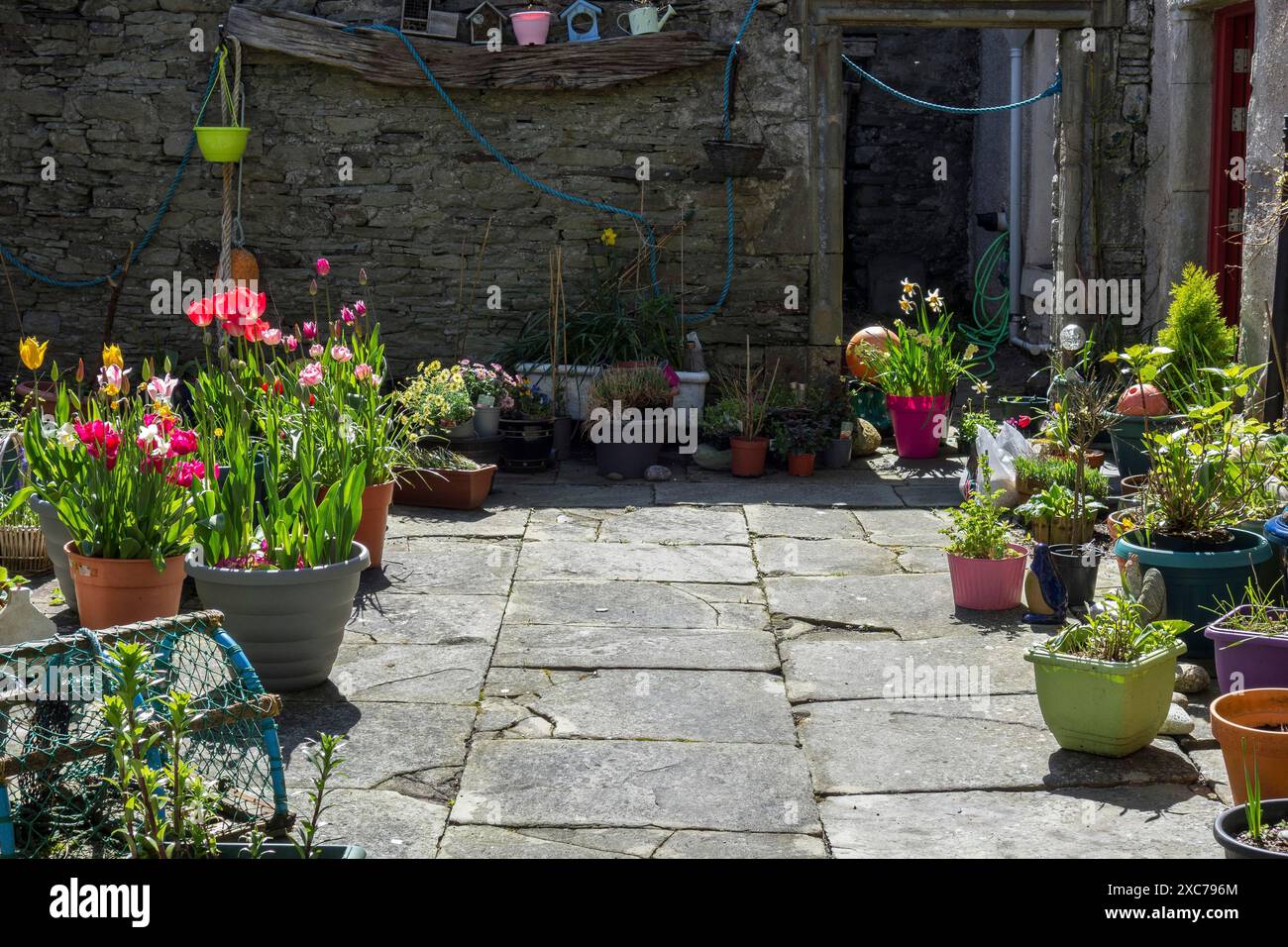 Courtyard area with many colourful flower pots and plants on a paved ...