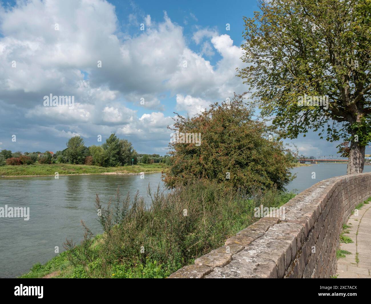 A tree and bushes along a river with a view of a wall and path, under a ...